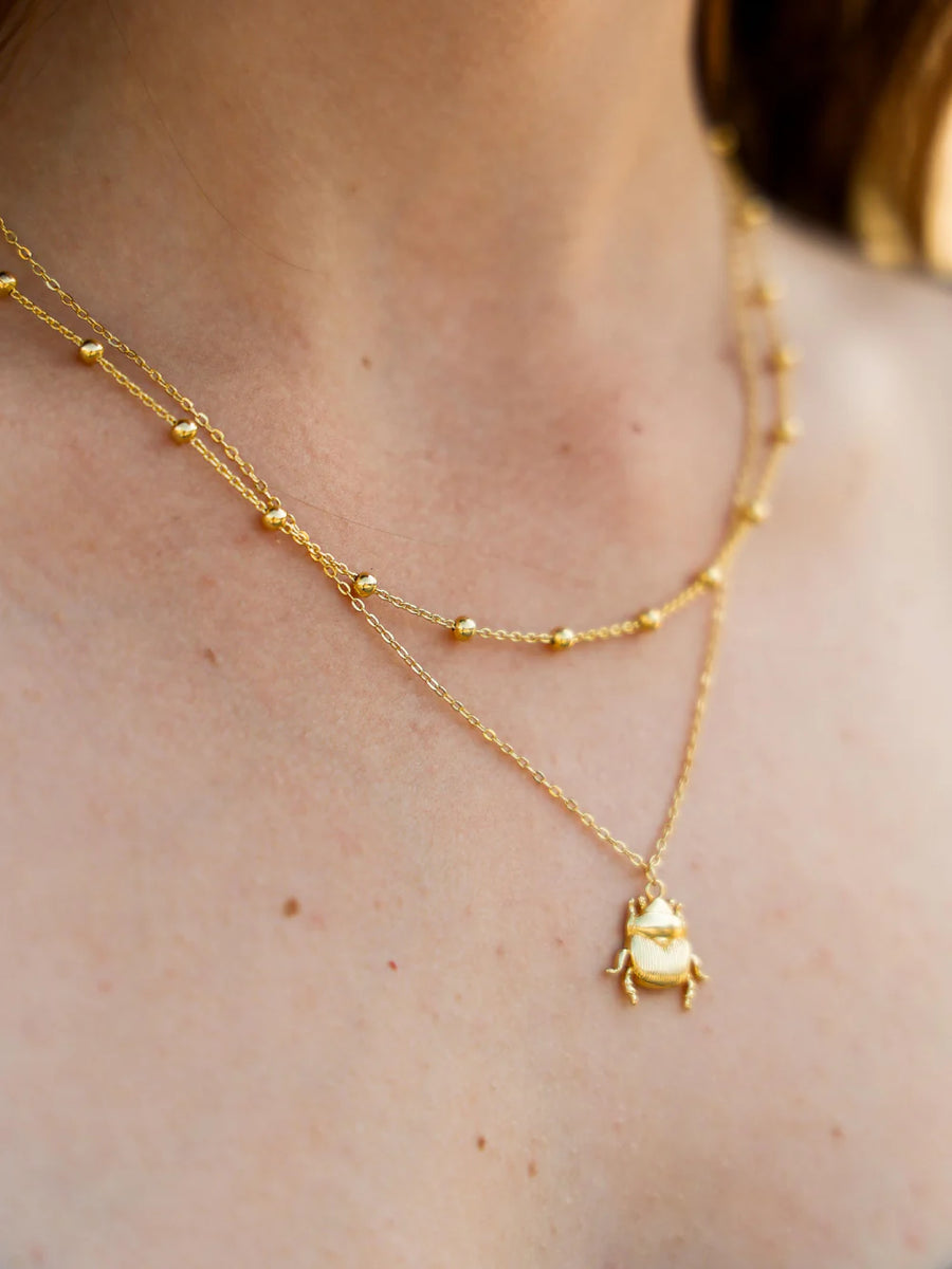 COLLARES – Avidae
